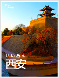 Hichina Main Site
