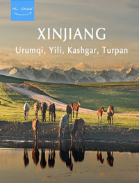 Hichina Main Site