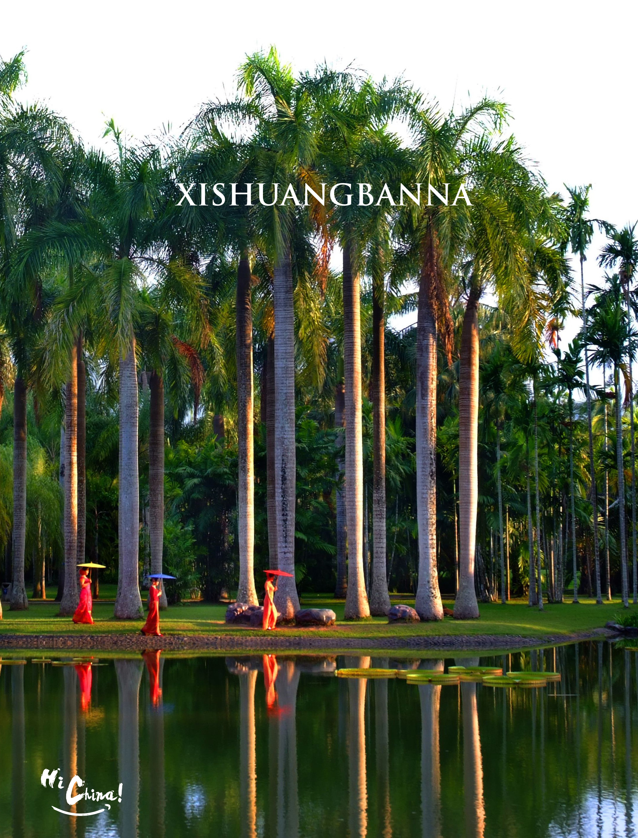 Hichina Main Site