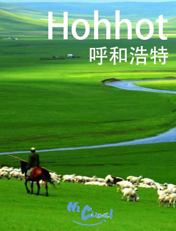Hichina Main Site
